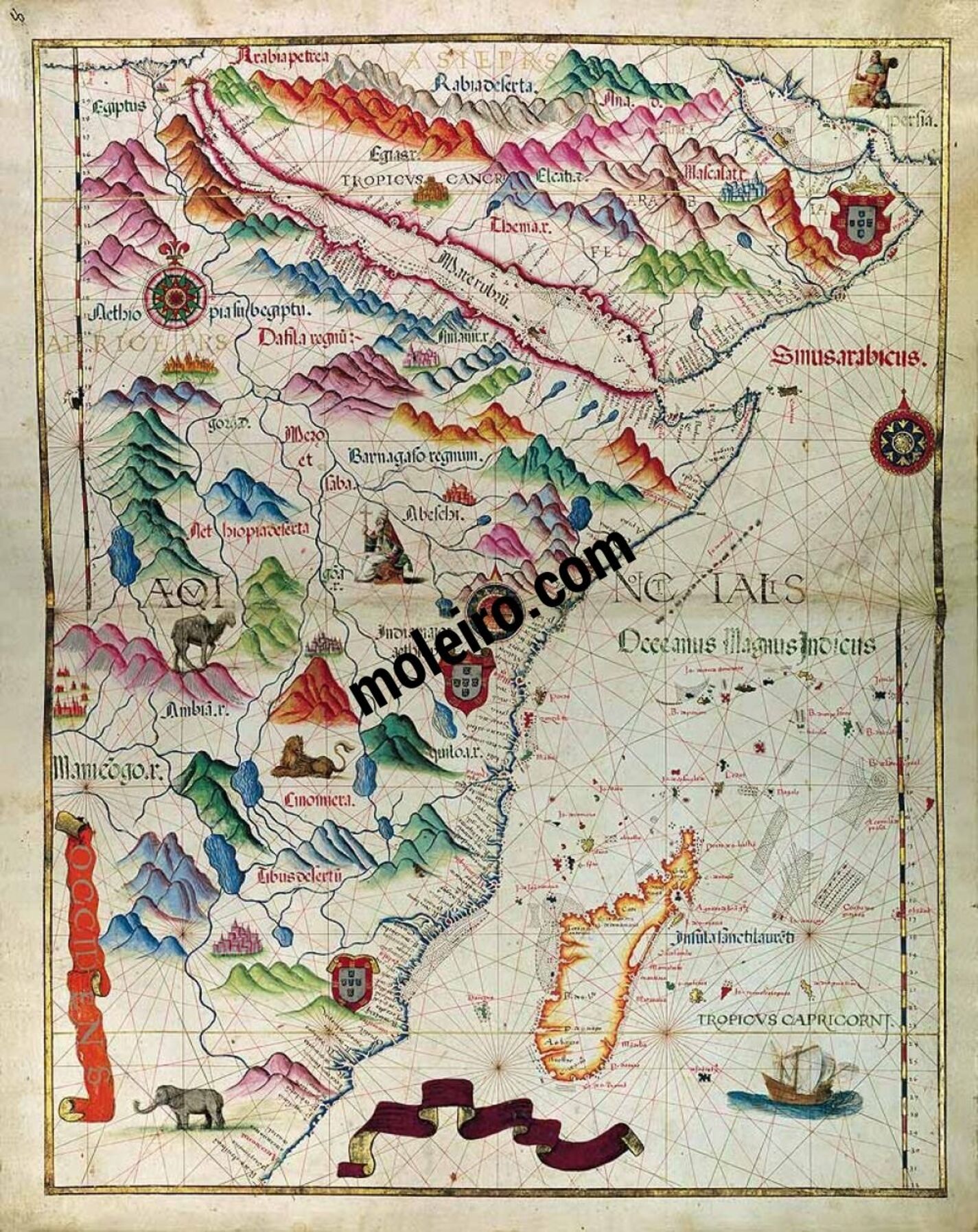 Mapa del Este de África del Atlas Universal, de Diogo Homem.
