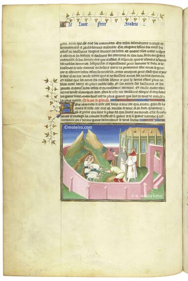 The Book of the Marvels of the World, Marco Polo - Odoric of Pordenone